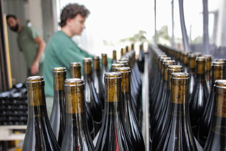 Proyectos archivos - Página 4 de 5 - ROBOTBAS